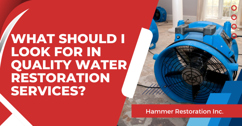 What To Look For In Quality Water Restoration Services | Hammer