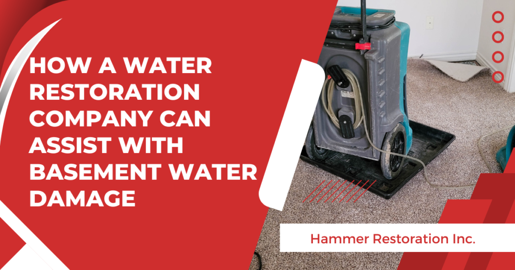 Expert Water Restoration Companies for Your Basement | Hammer