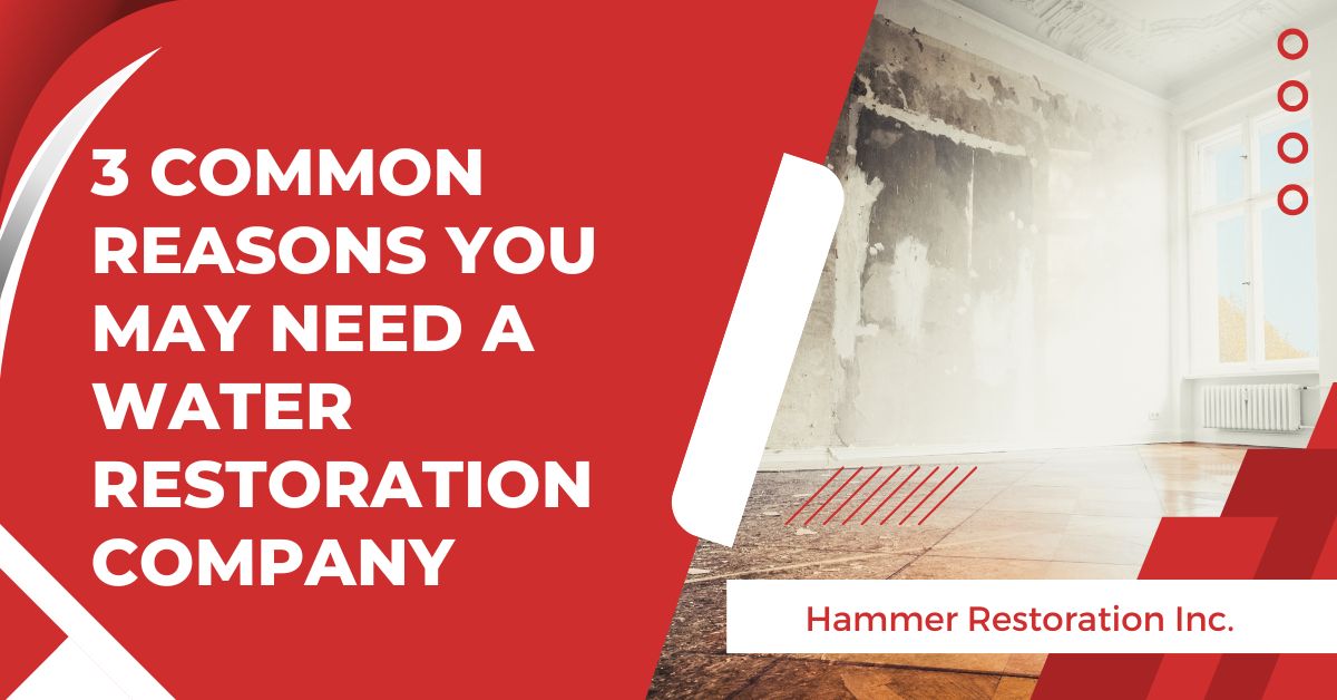 Common Reasons You May Need a Water Restoration Company | Hammer ...