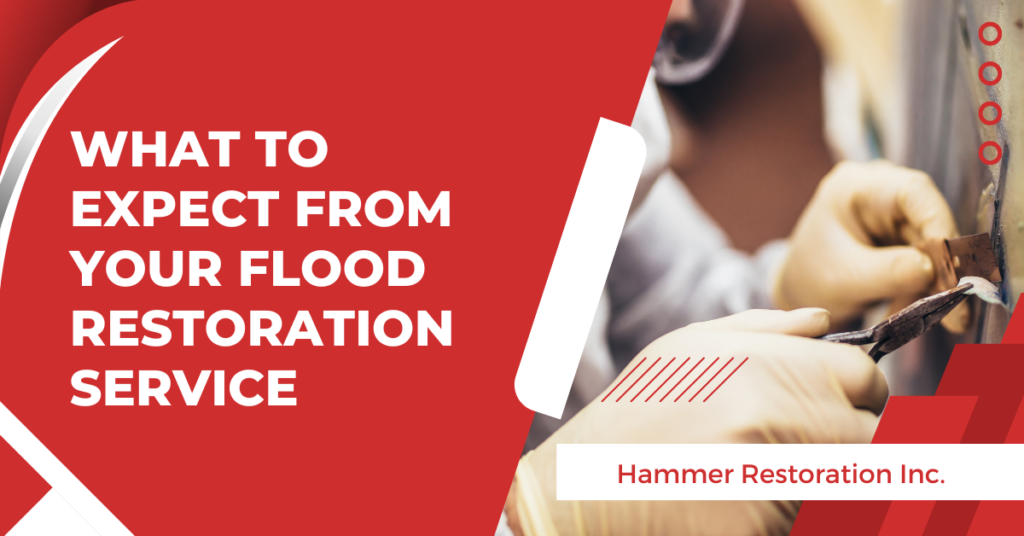 What to Expect From Your Flood Restoration Service | Hammer Restoration