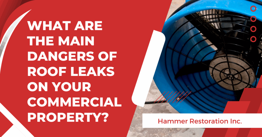 The Main Dangers of Roof Leaks on Your Commercial Property | Hammer ...