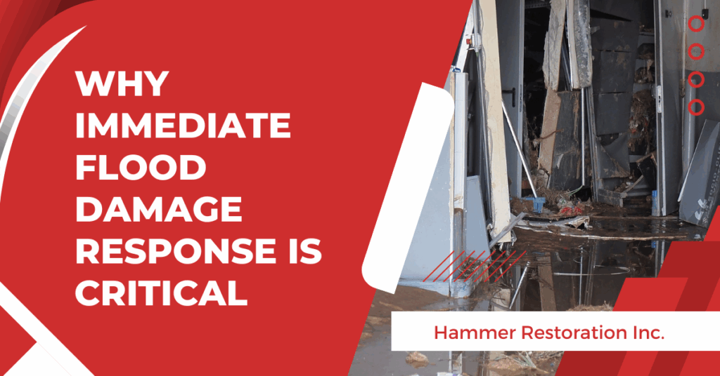 Why Immediate Flood Damage Response Is Critical In Michigan | Hammer ...